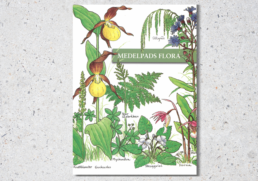Medelpads flora - Svenska Botaniska Föreningen